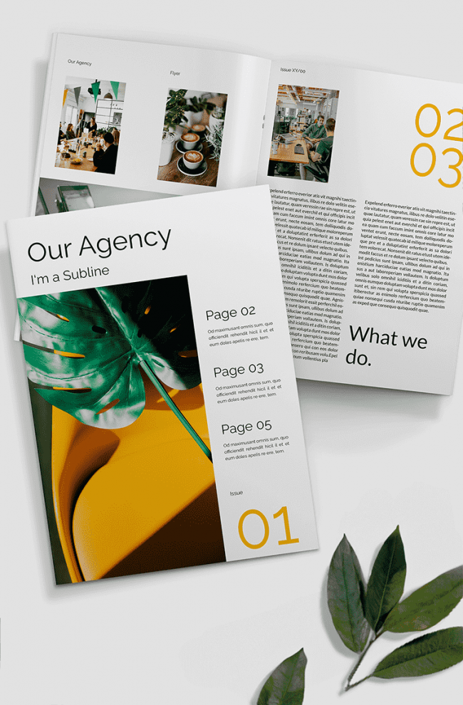 Create & Print Your Individual Agency Magazine